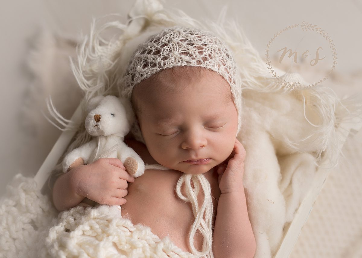 Edmonton Newborn Photography Studio ~ Maxine • Shellaine